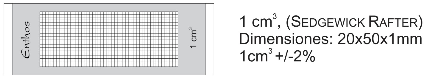 Cámaras de Conteo – enthosco